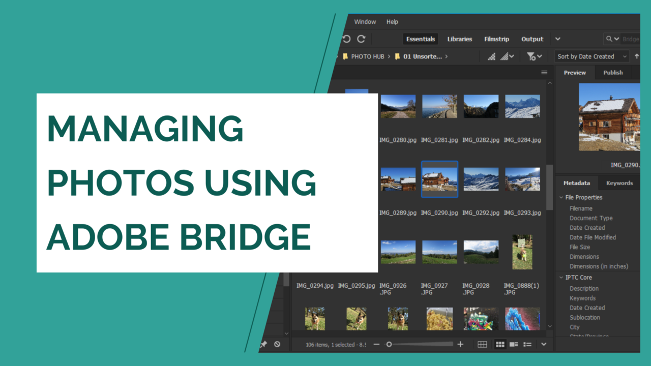 Courses - Photos in Order